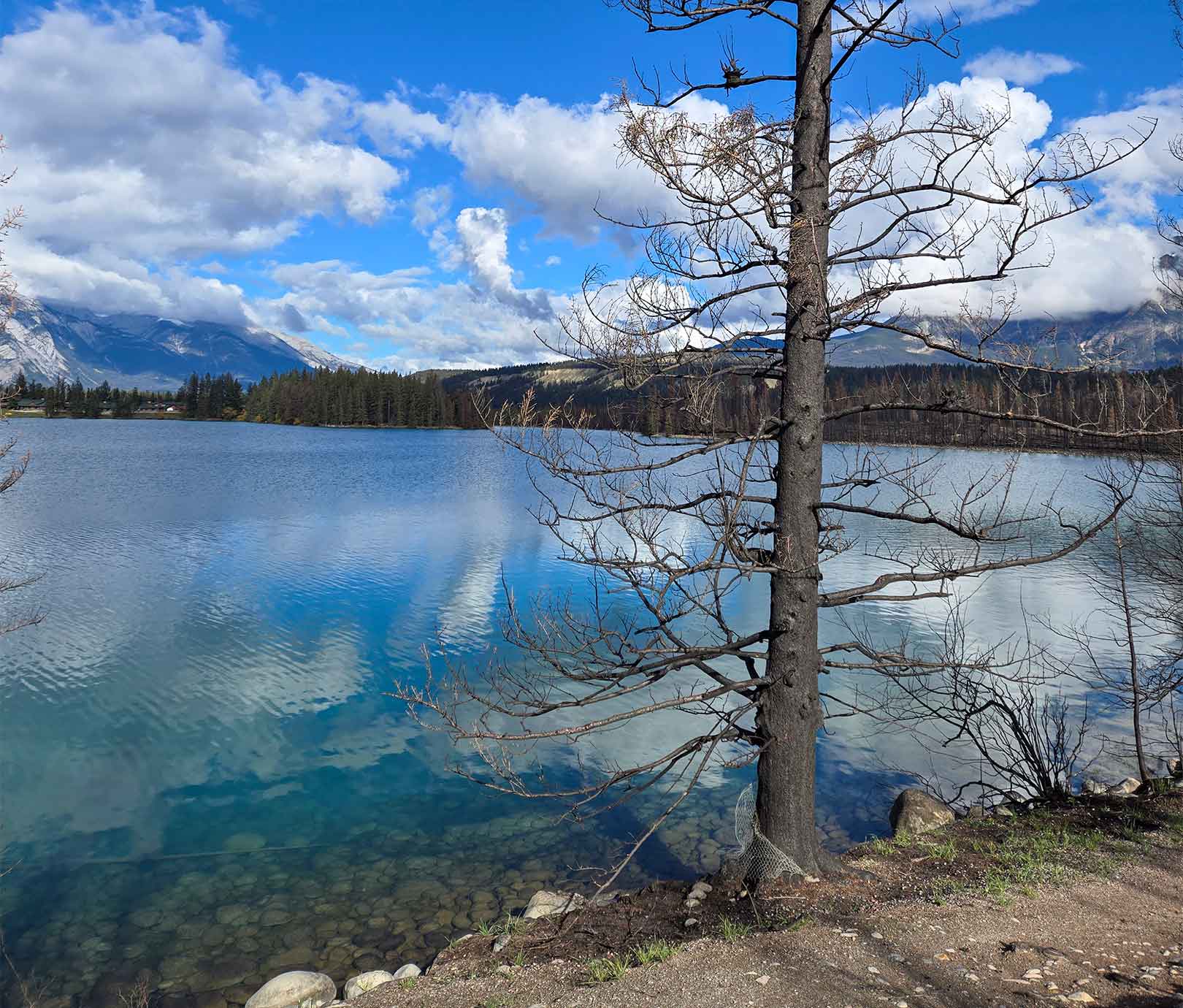 Welcome | Local stories from the heart of Jasper National Park.